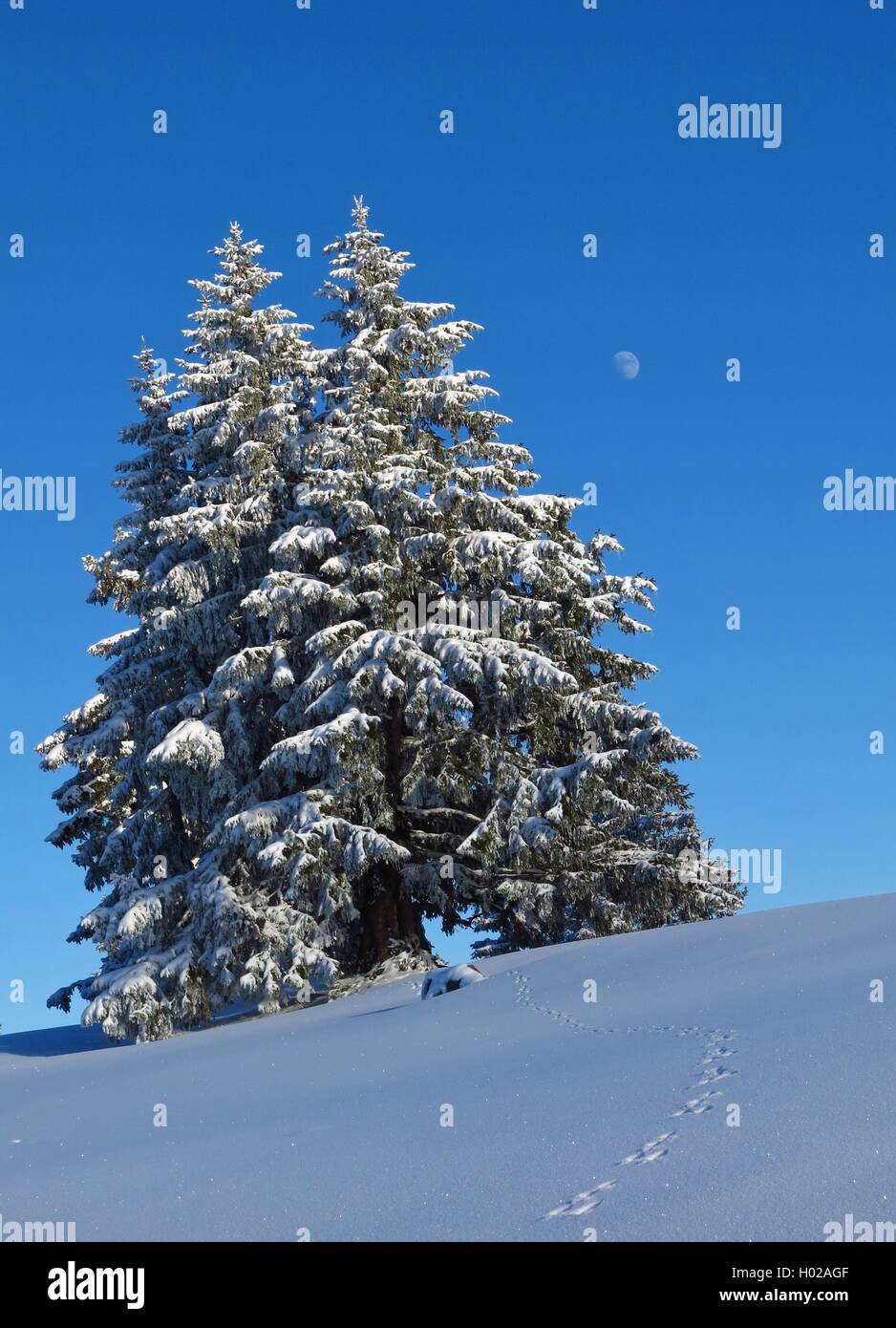 Winter scene in Gstaad, Switzerland Stock Photo - Alamy