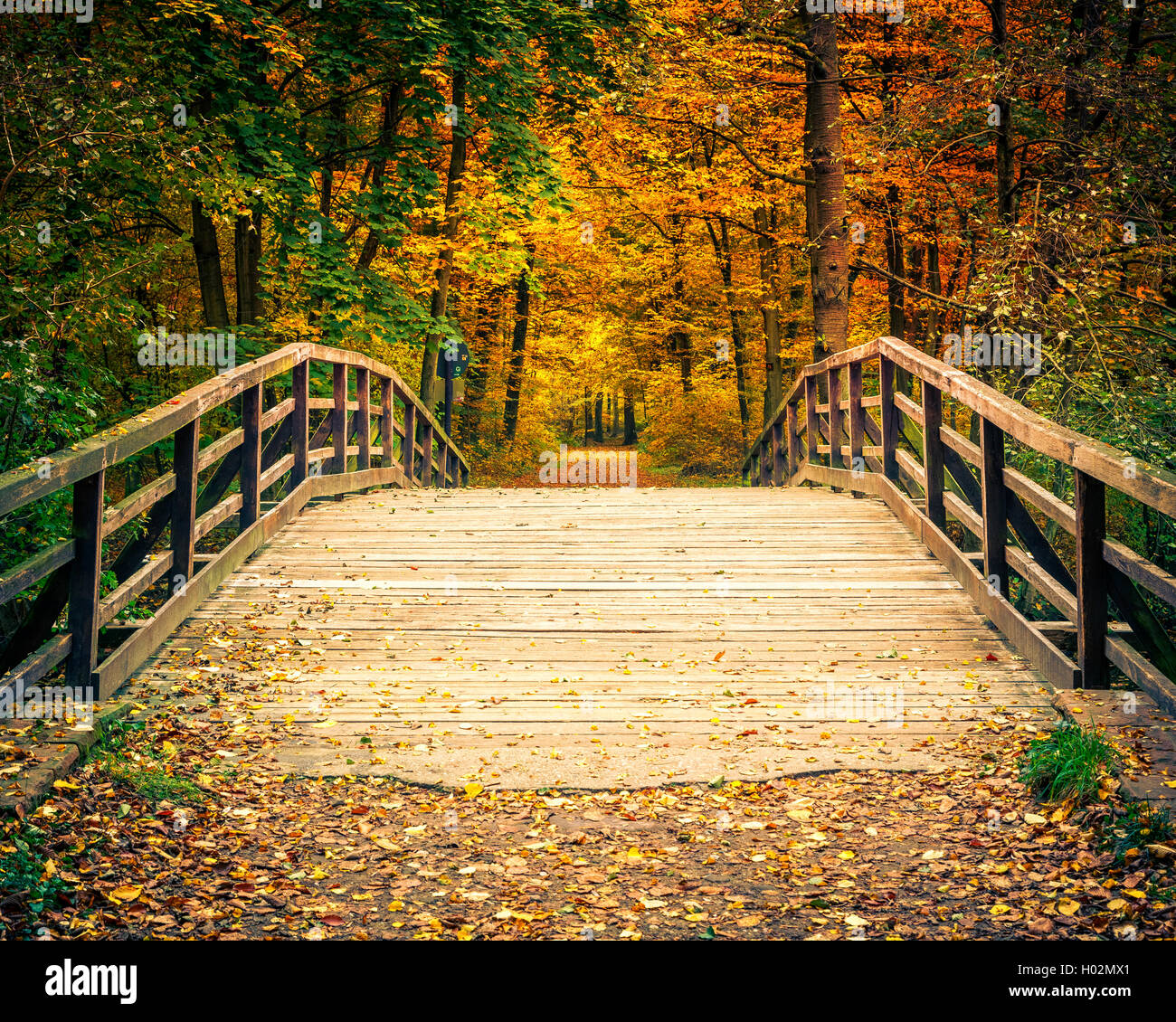 Bridge in autumn forest Stock Photo - Alamy