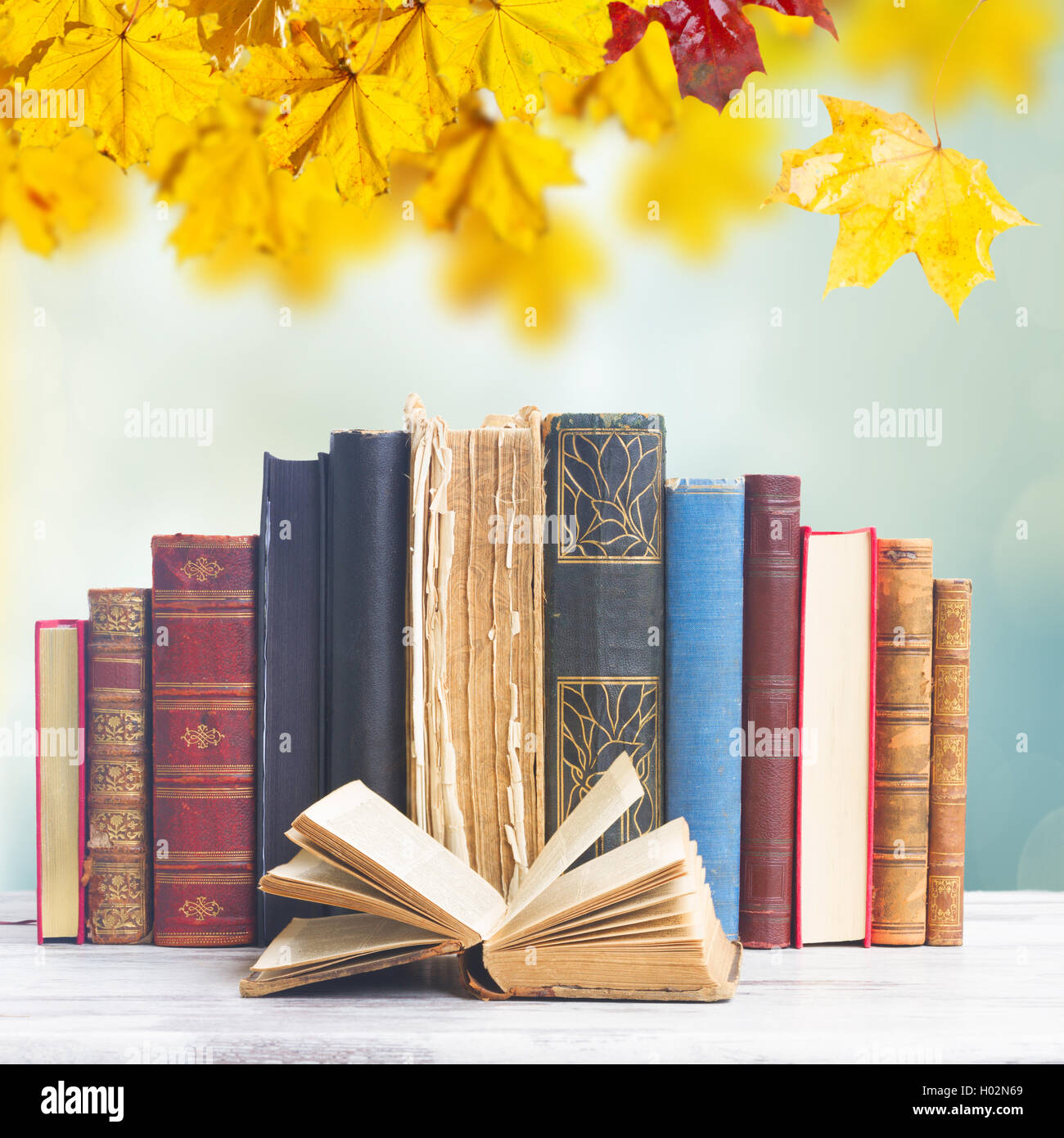 set of books Stock Photo - Alamy