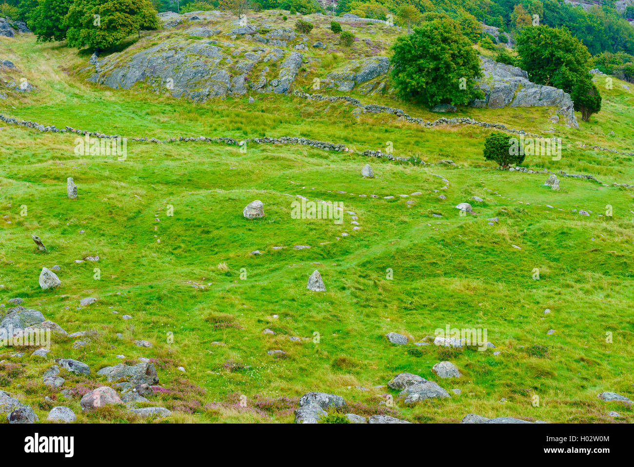 Swedish cemetery hi-res stock photography and images - Alamy