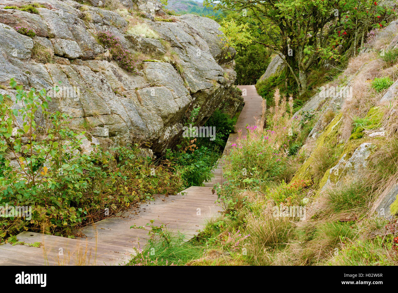 Rocky hiking path through hi-res stock photography and images - Alamy