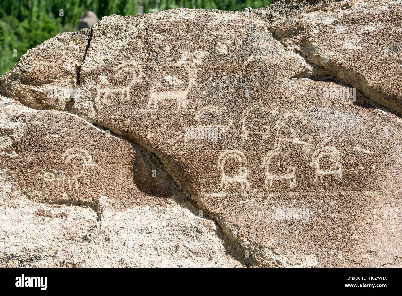 Petroglyphs the sacred rocks of Hunza Stock Photo - Alamy