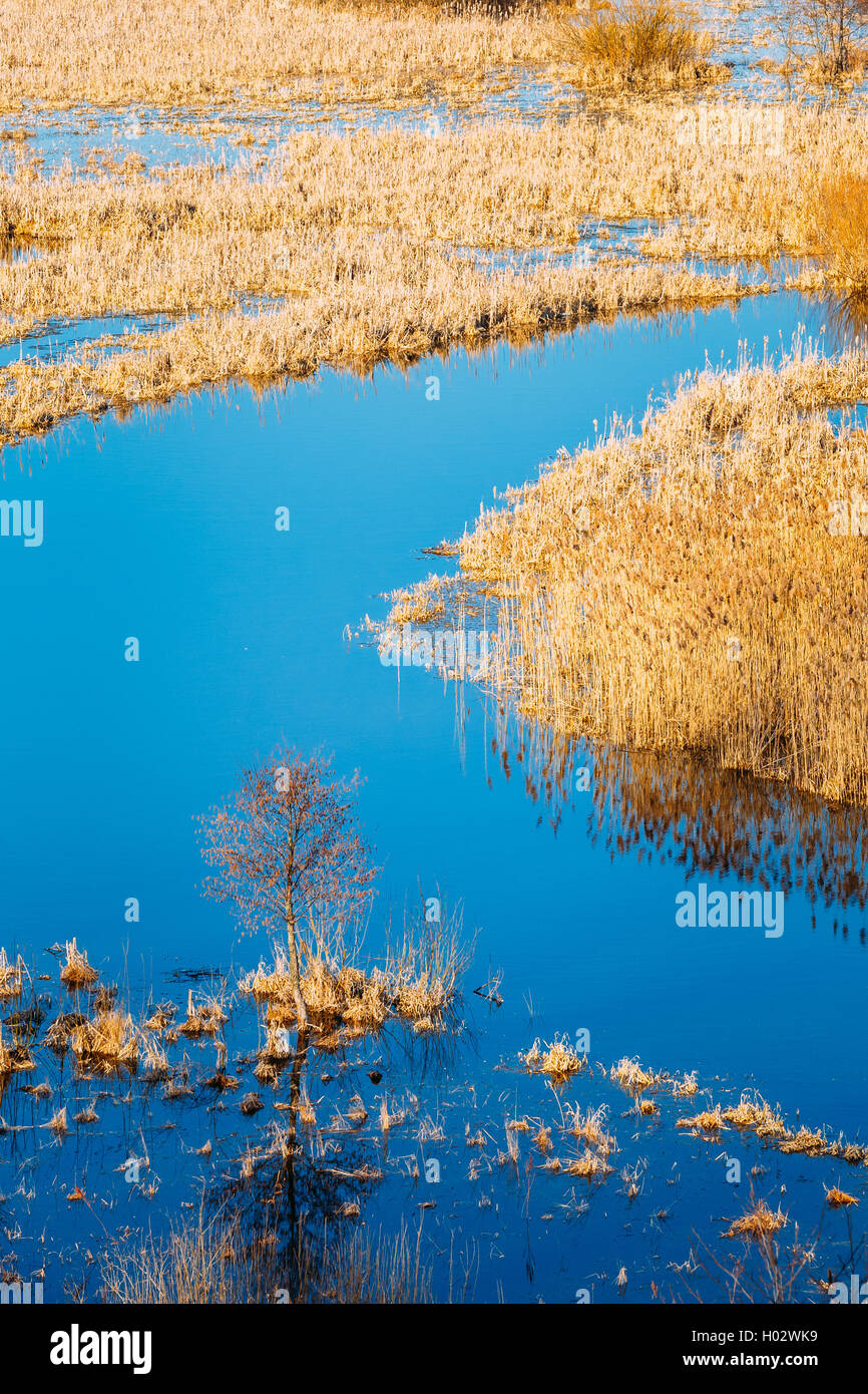 Spills Of River In Spring Season In Belarus. Sunny Spring Day ...