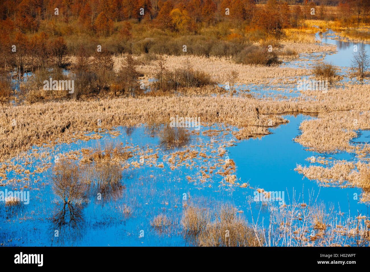 Spills Of River In Spring Season In Belarus. Sunny Spring Day ...