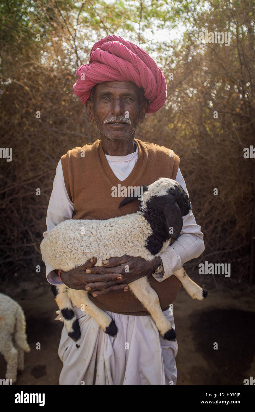 Shepherd holding lamb hi-res stock photography and images - Alamy