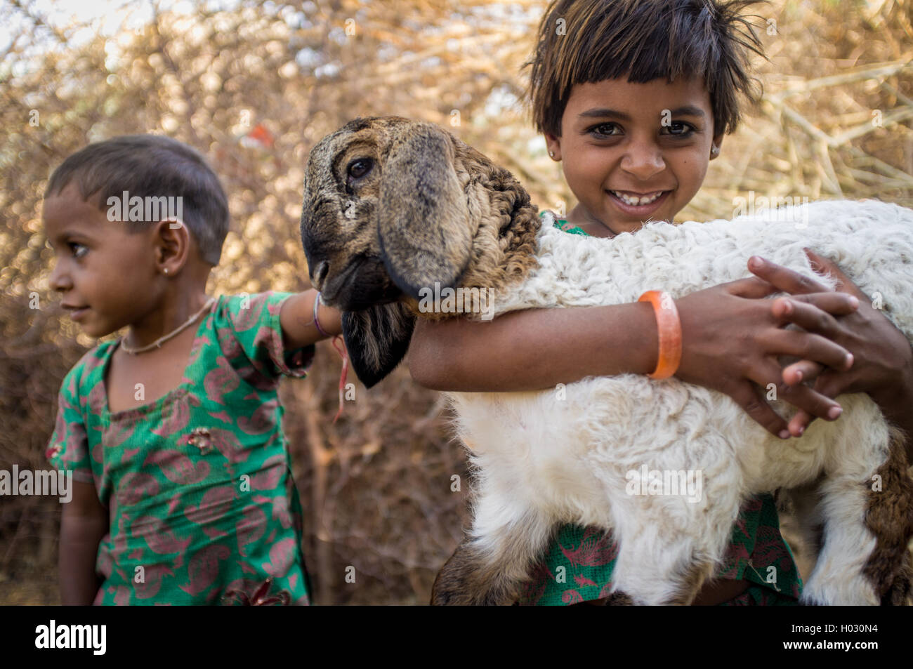 Stable girls hi-res stock photography and images - Alamy