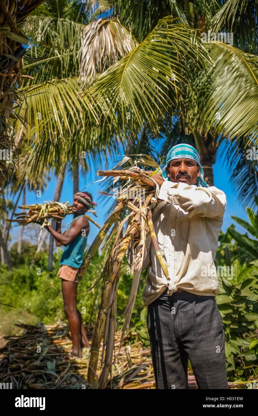 Indian loaded truck hi-res stock photography and images - Alamy