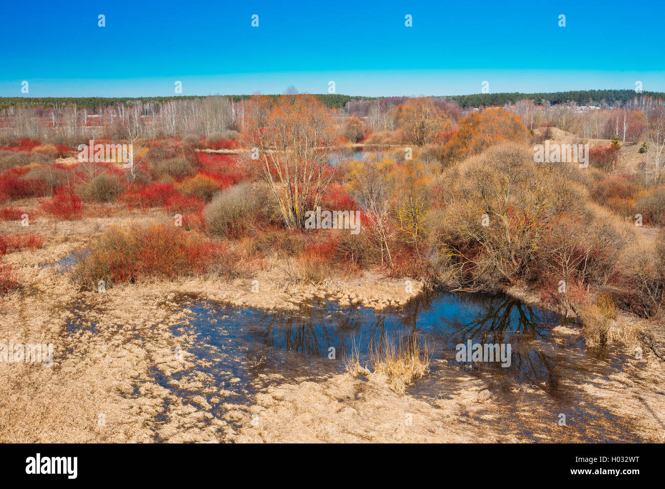 Spills Of River In Spring Season In Belarus. Sunny Spring Day ...
