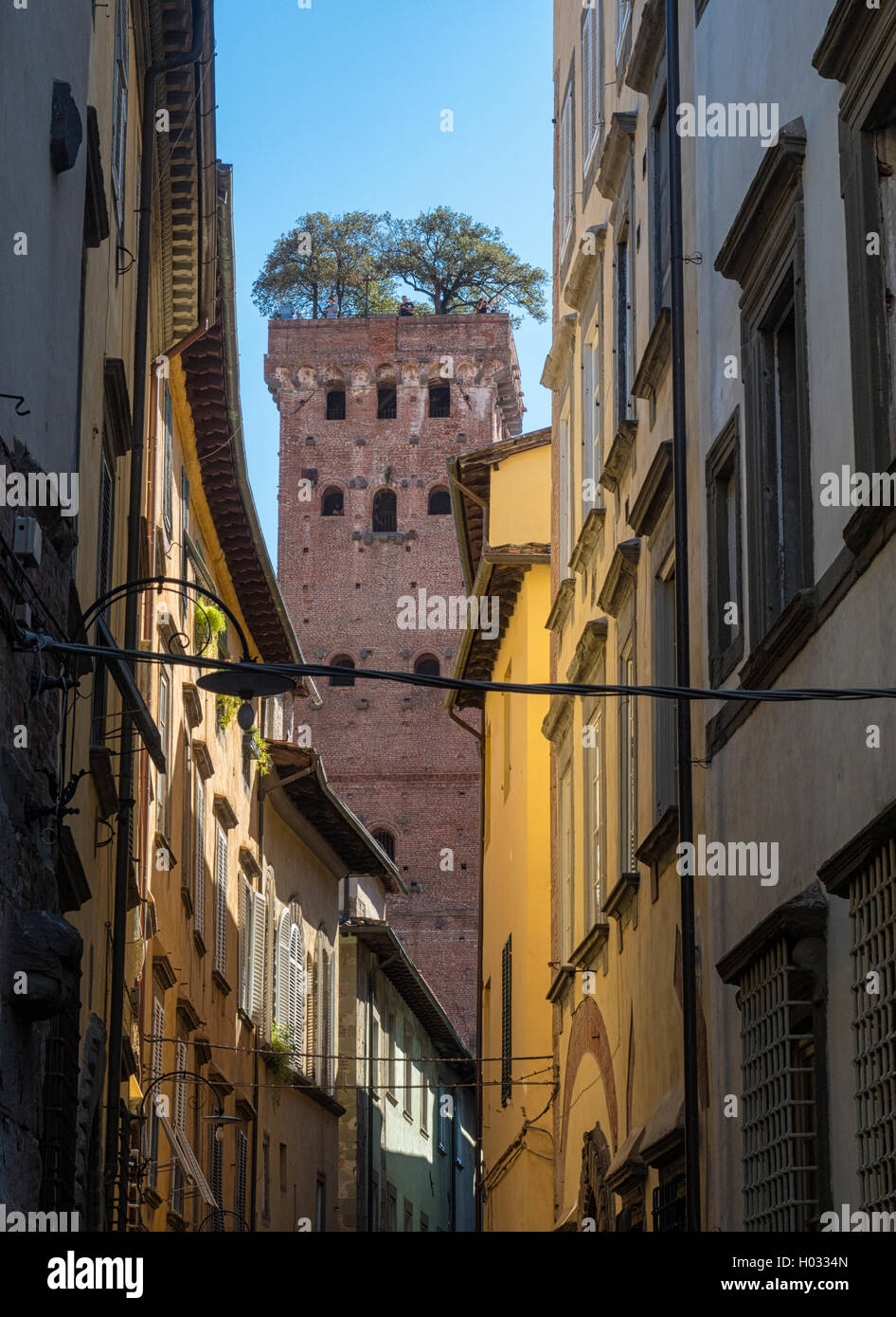 Medieval Guinigi Tower, topped by holm-oak trees, from Via Sant'Andrea ...