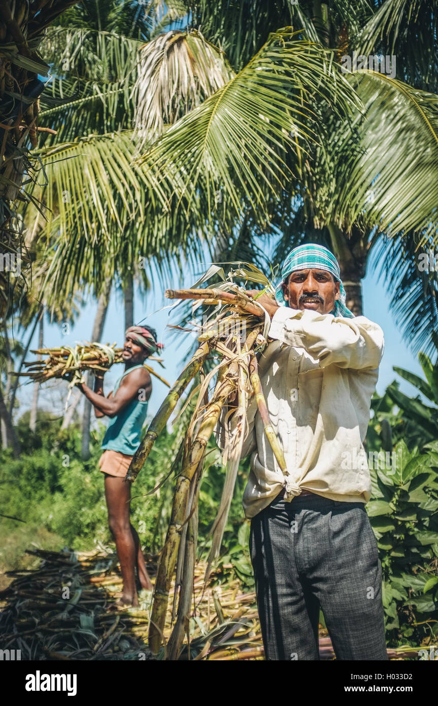 Indian workers hi-res stock photography and images - Alamy