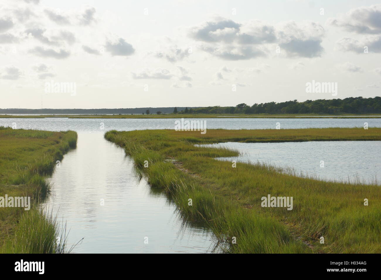 Marsh grass cape cod hi-res stock photography and images - Alamy