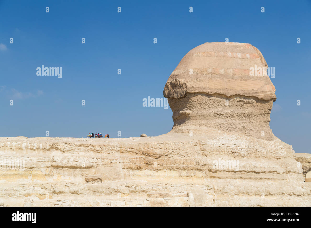 Back of sphinx egypt hi-res stock photography and images - Alamy