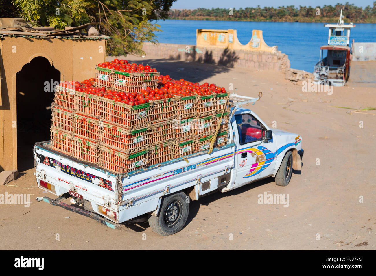ASWAN, EGYPT - FEBRUARY 9, 2016: Pick up truck transporting tomatoes ...