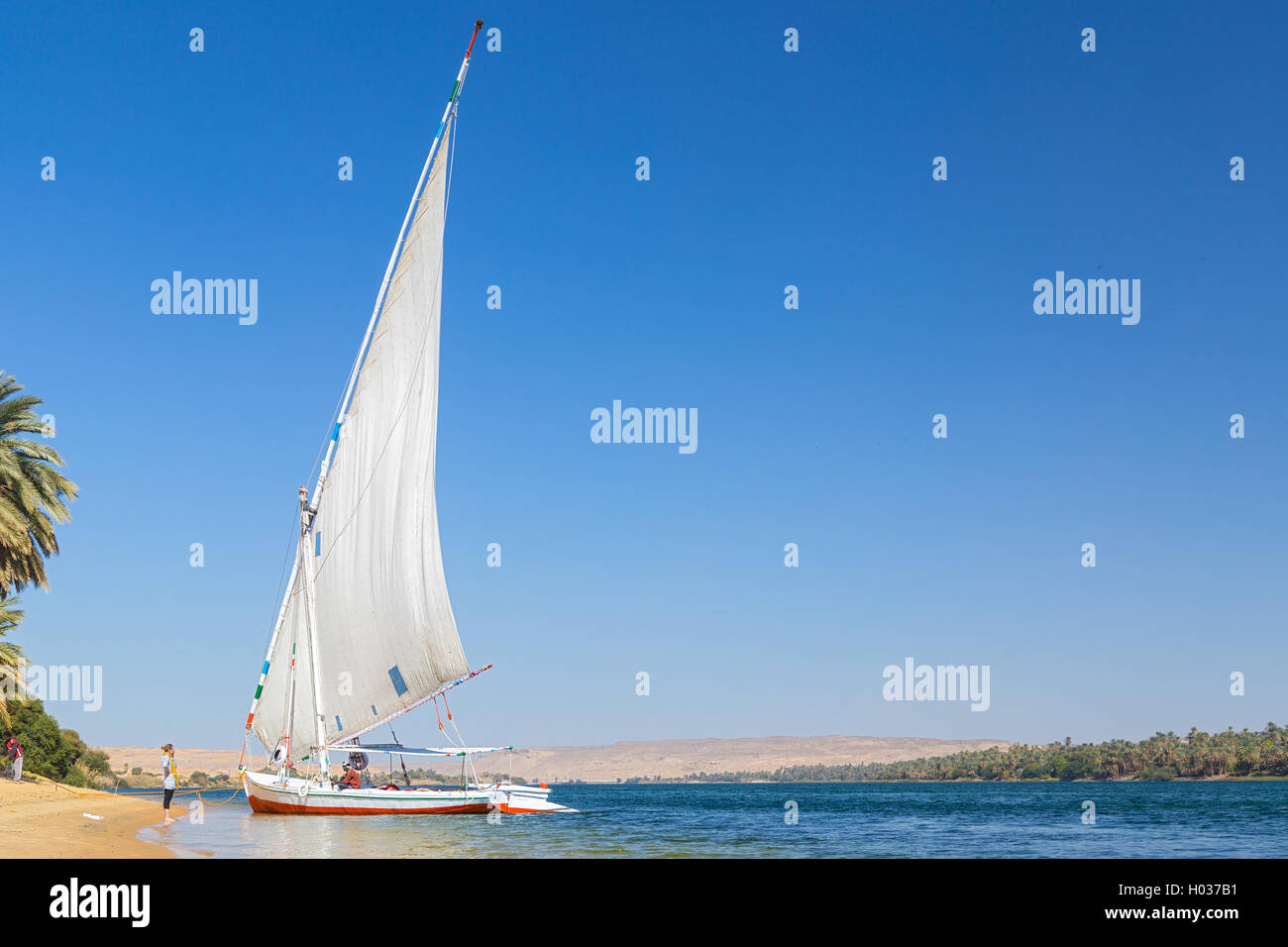 Felucca, traditional wooden sailboat on shore of Nile, Egypt Stock ...