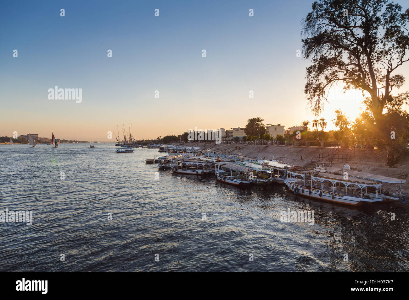 Nile river egypt february hi-res stock photography and images - Alamy