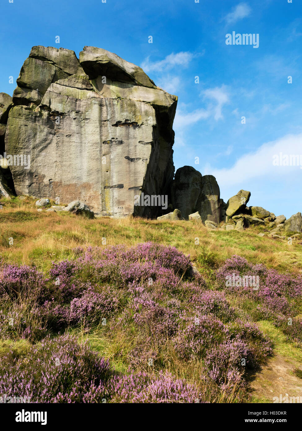 Yorkshire cow and calf rocks hi-res stock photography and images - Alamy