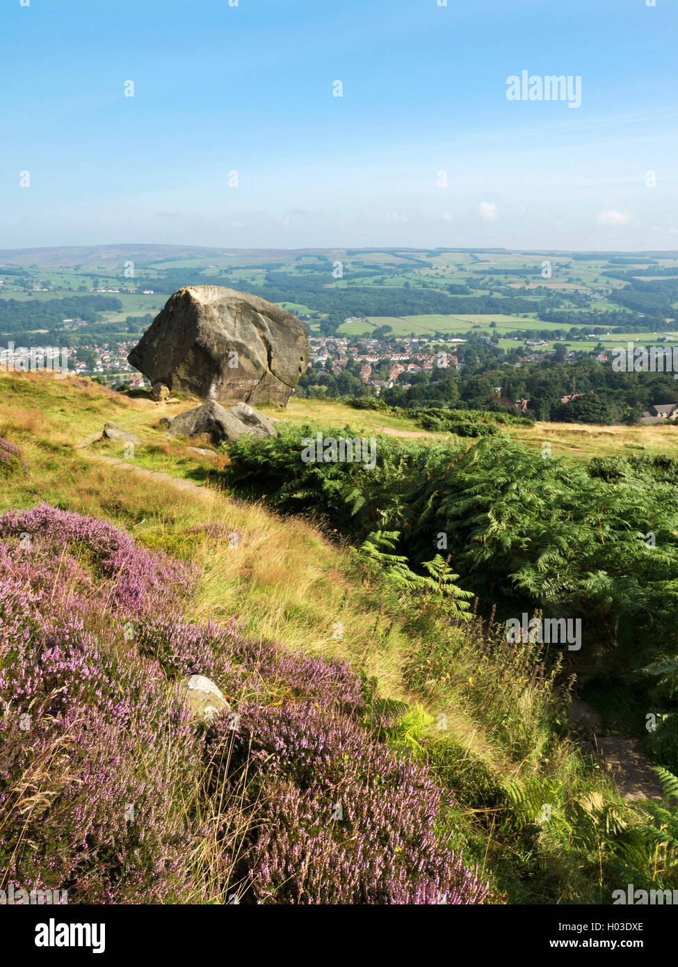 The Calf Rock at Cow and Calf Rocks on Ilkley Moor near Ilkley West ...