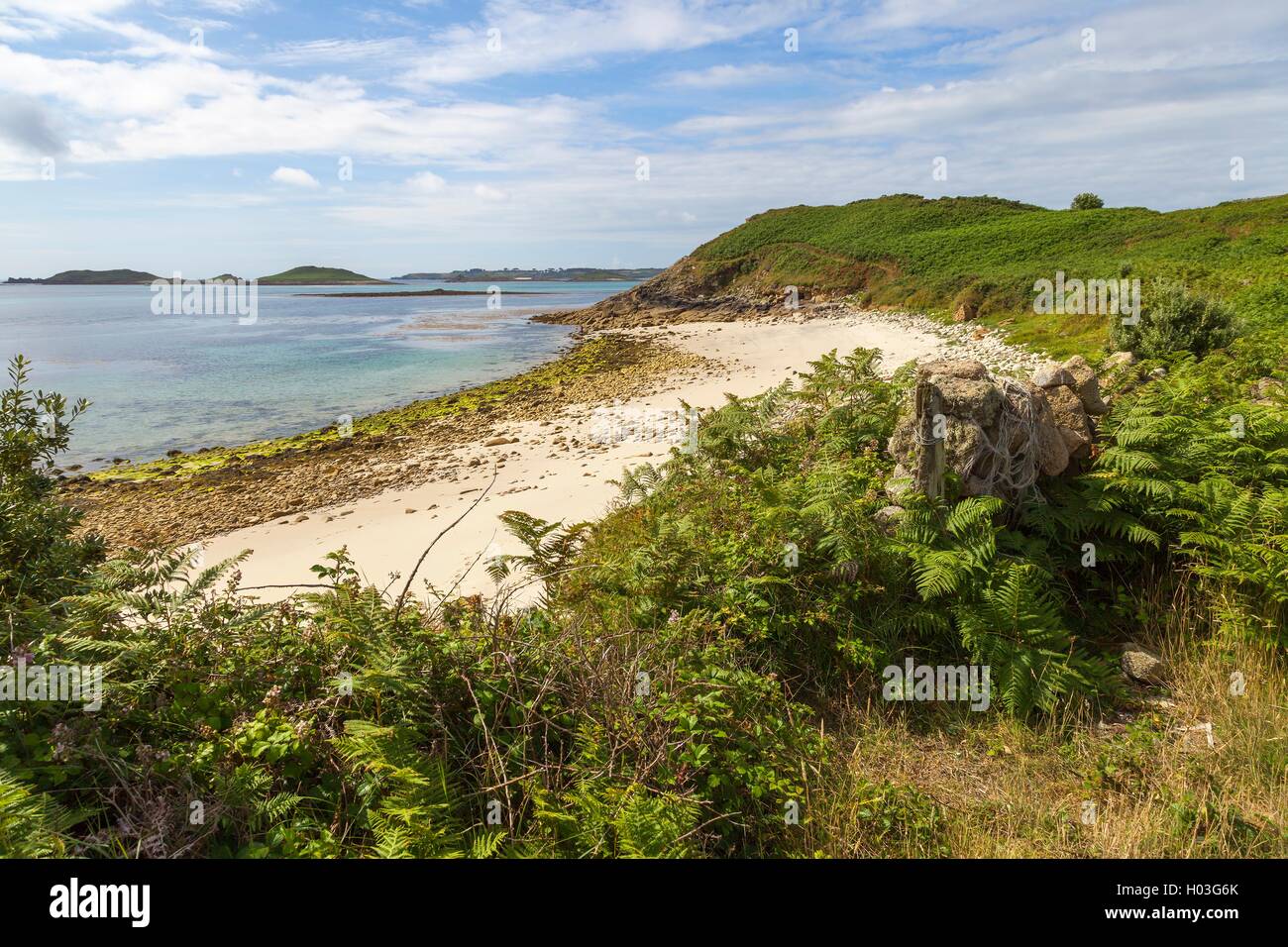 Chapel Down, St Martin's, Isles of Scilly, England Stock Photo - Alamy