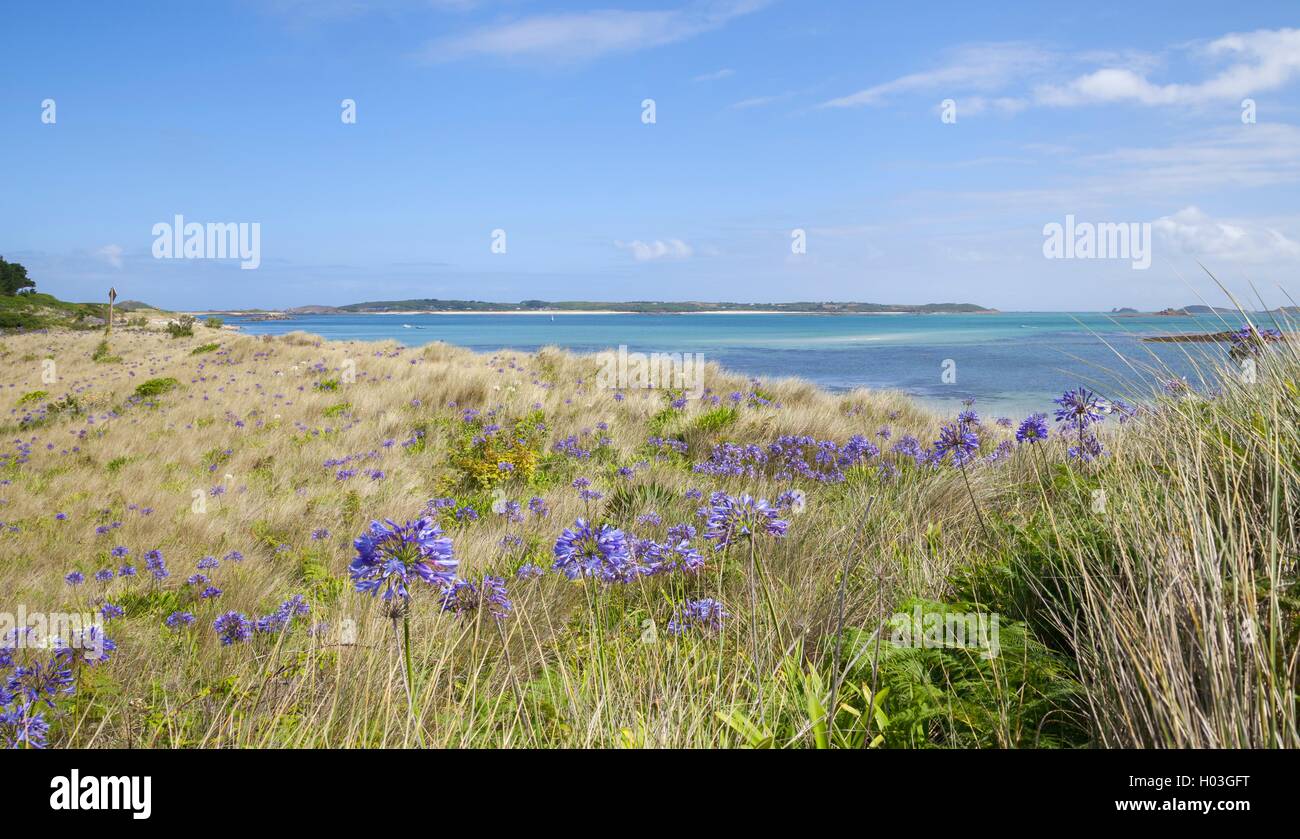Pentle Bay, Tresco, Isles of Scilly, England Stock Photo - Alamy