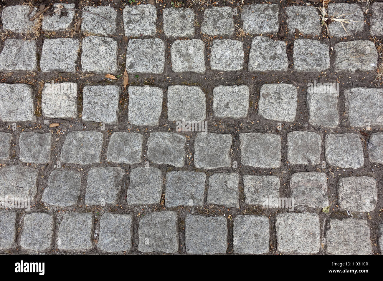 Cobbled paving stones Stock Photo - Alamy