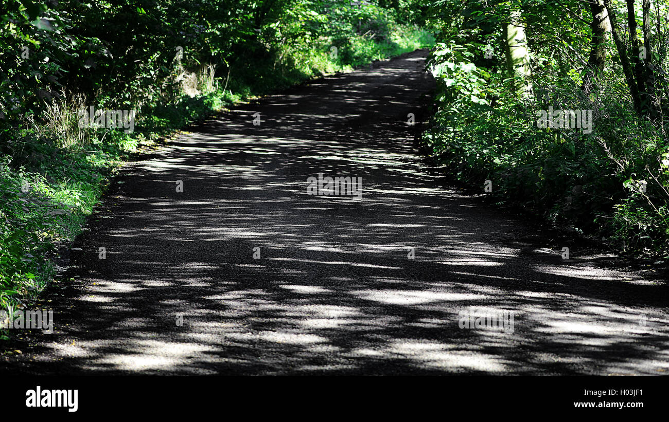 Dappled shadow hi-res stock photography and images - Alamy