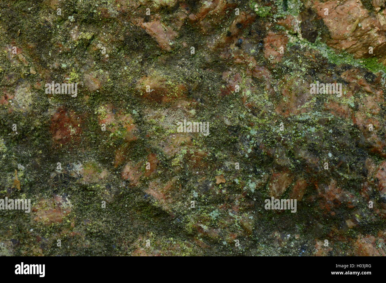 Nature background old granite stone covered with moss Stock Photo - Alamy