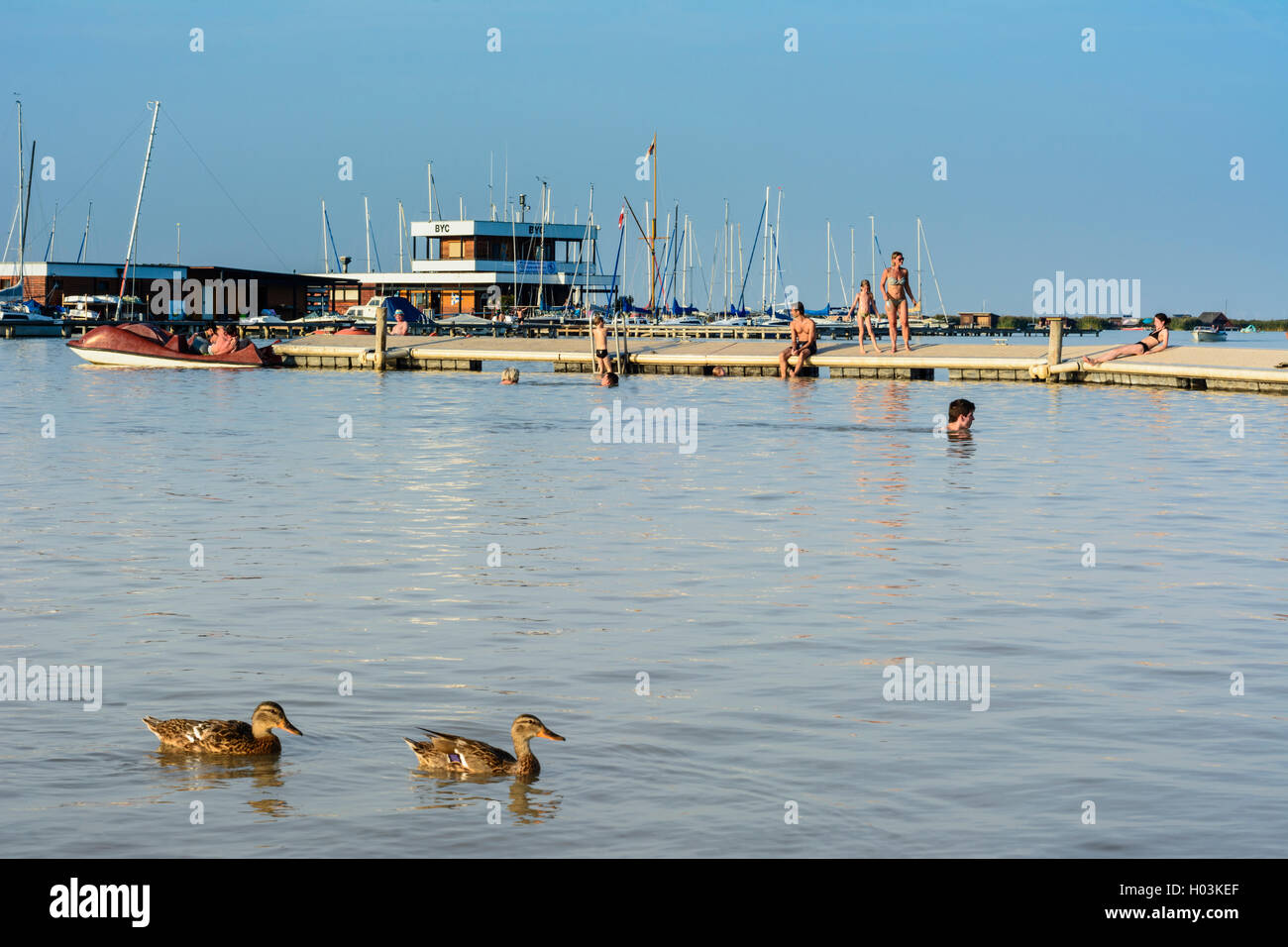 Rust: Neusiedler See (Lake Neusiedl), lido beach, public bath, swimmers ...