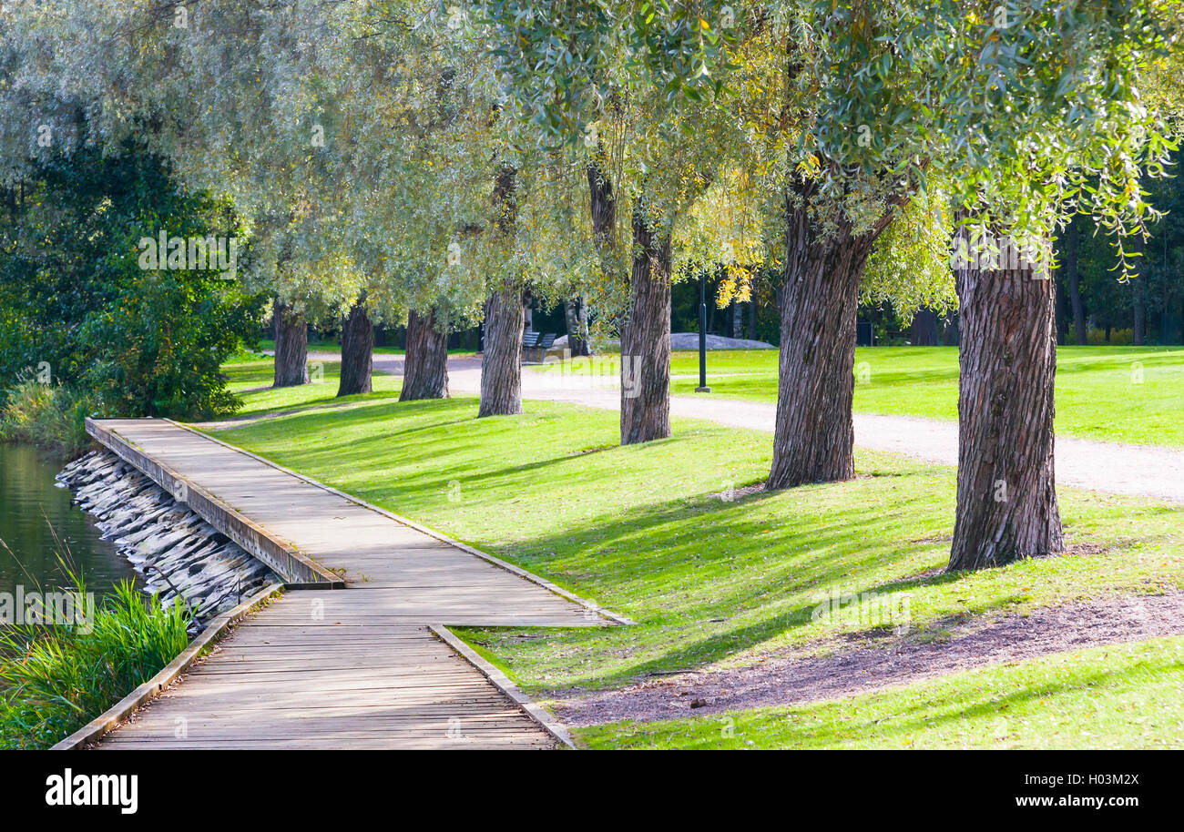 Timber walkway hi-res stock photography and images - Alamy