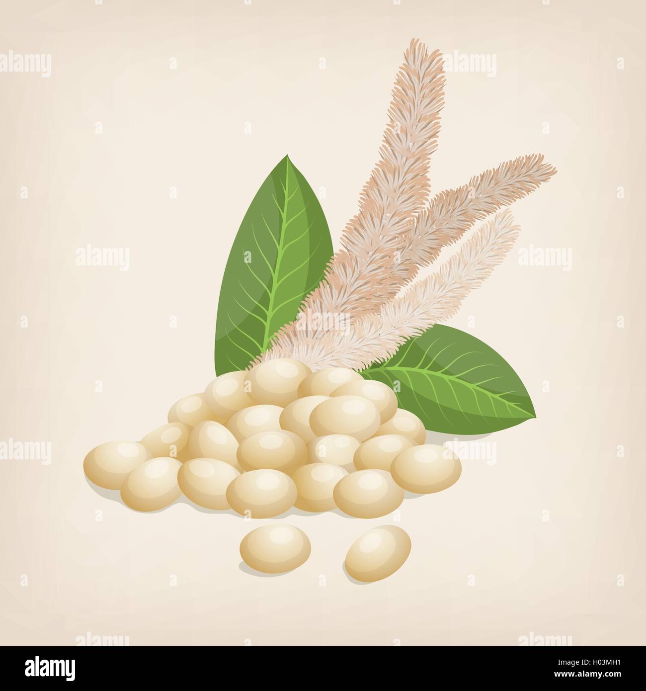 Grain amaranth flowers and leaves. Vector illustration Stock Vector ...