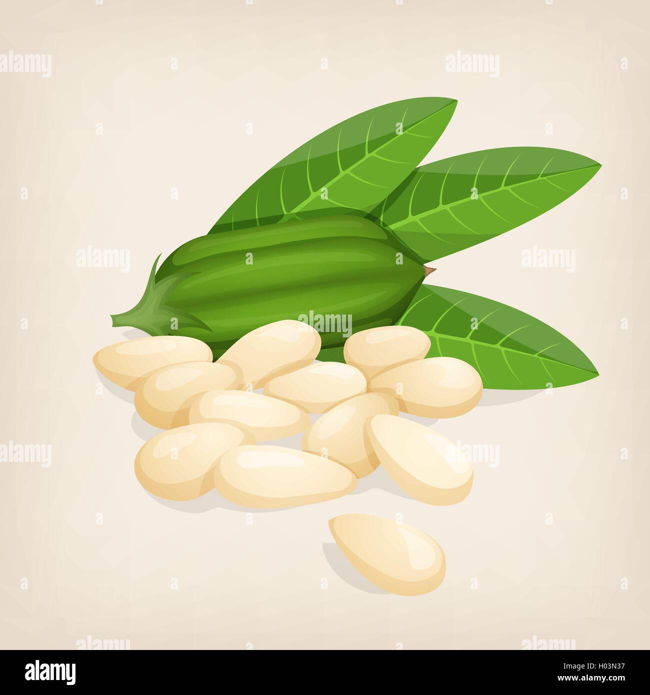 Sesame seeds with fruit and leafs. Vector illustration Stock Vector ...