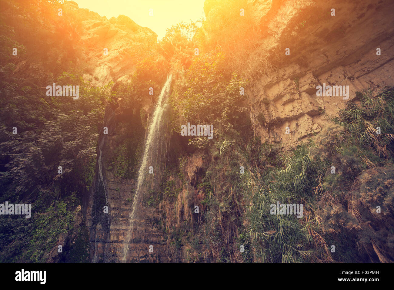 Davids waterfall hi-res stock photography and images - Alamy