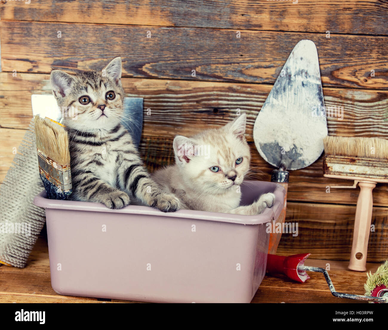 Tools two hi-res stock photography and images - Alamy