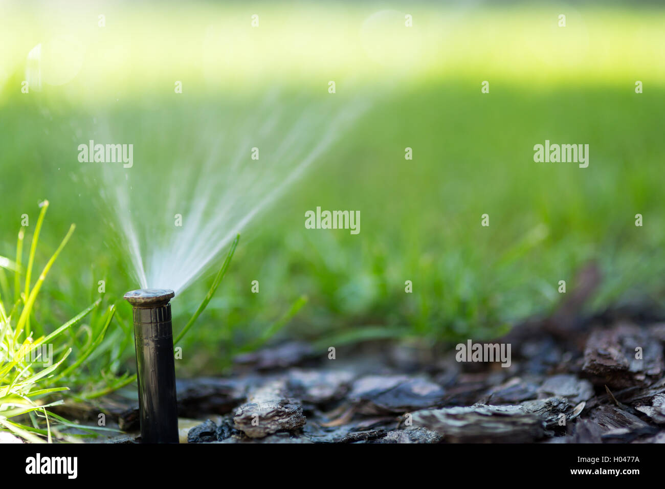 Turf irrigation hi-res stock photography and images - Alamy