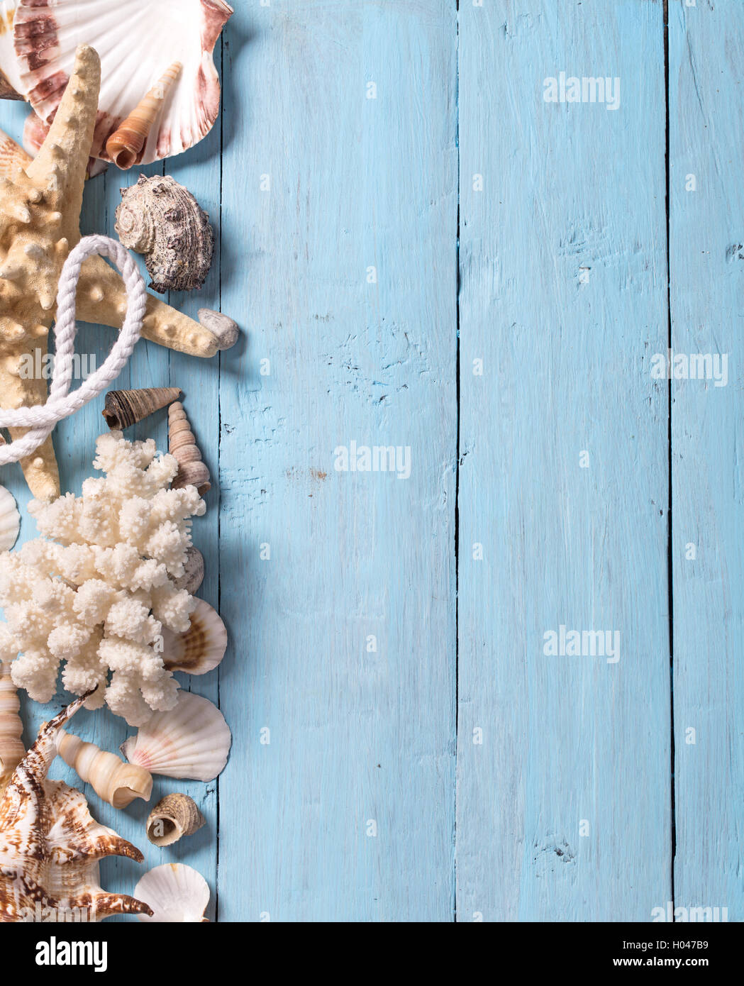 Sea shells at left side Stock Photo - Alamy