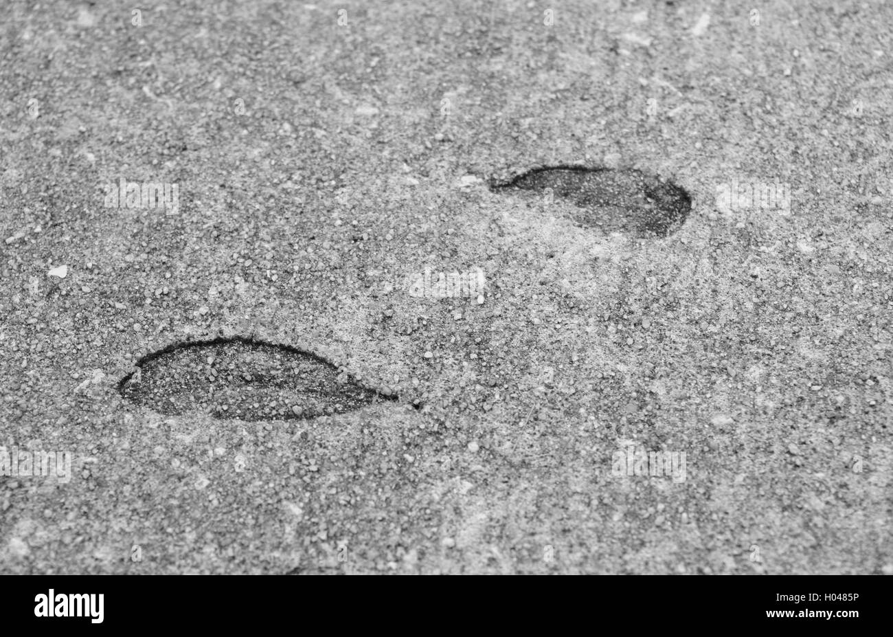 Cement leave impression hi-res stock photography and images - Alamy