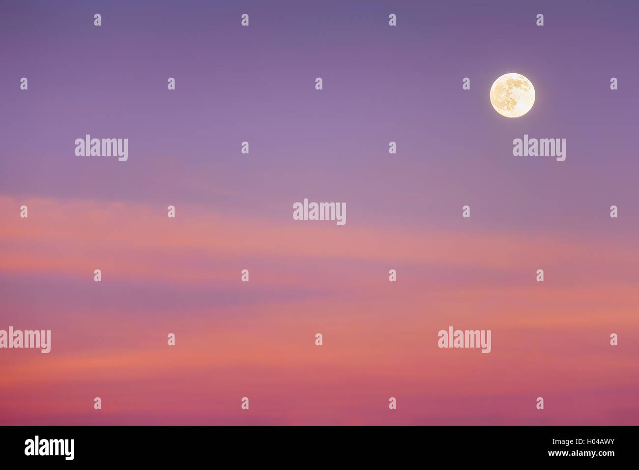 full moon with red sunset clouds Stock Photo - Alamy