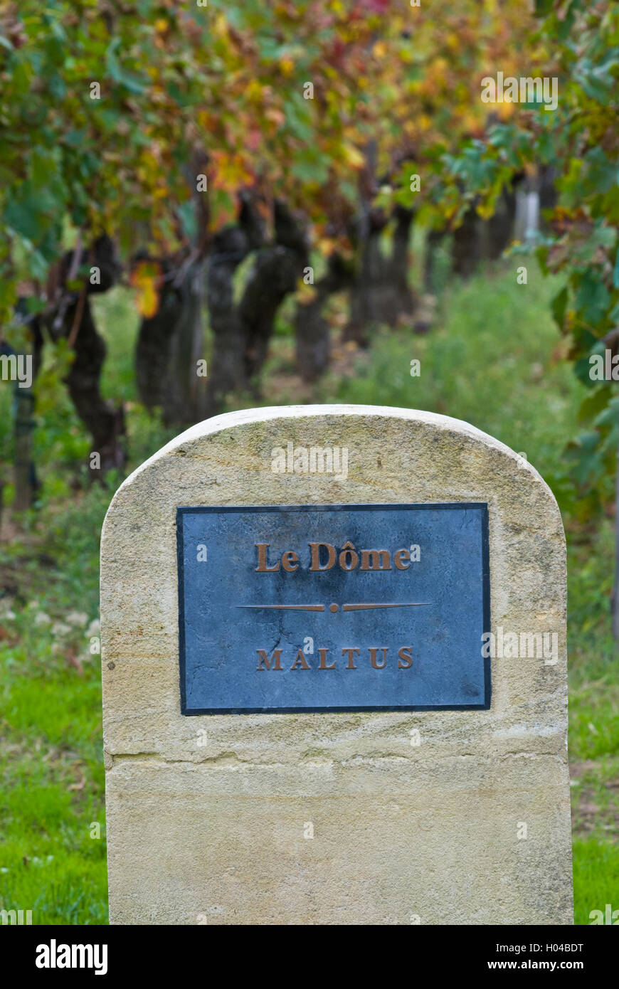 Stone boundary pillar with name plaque for the Le Dôme vineyard of ...