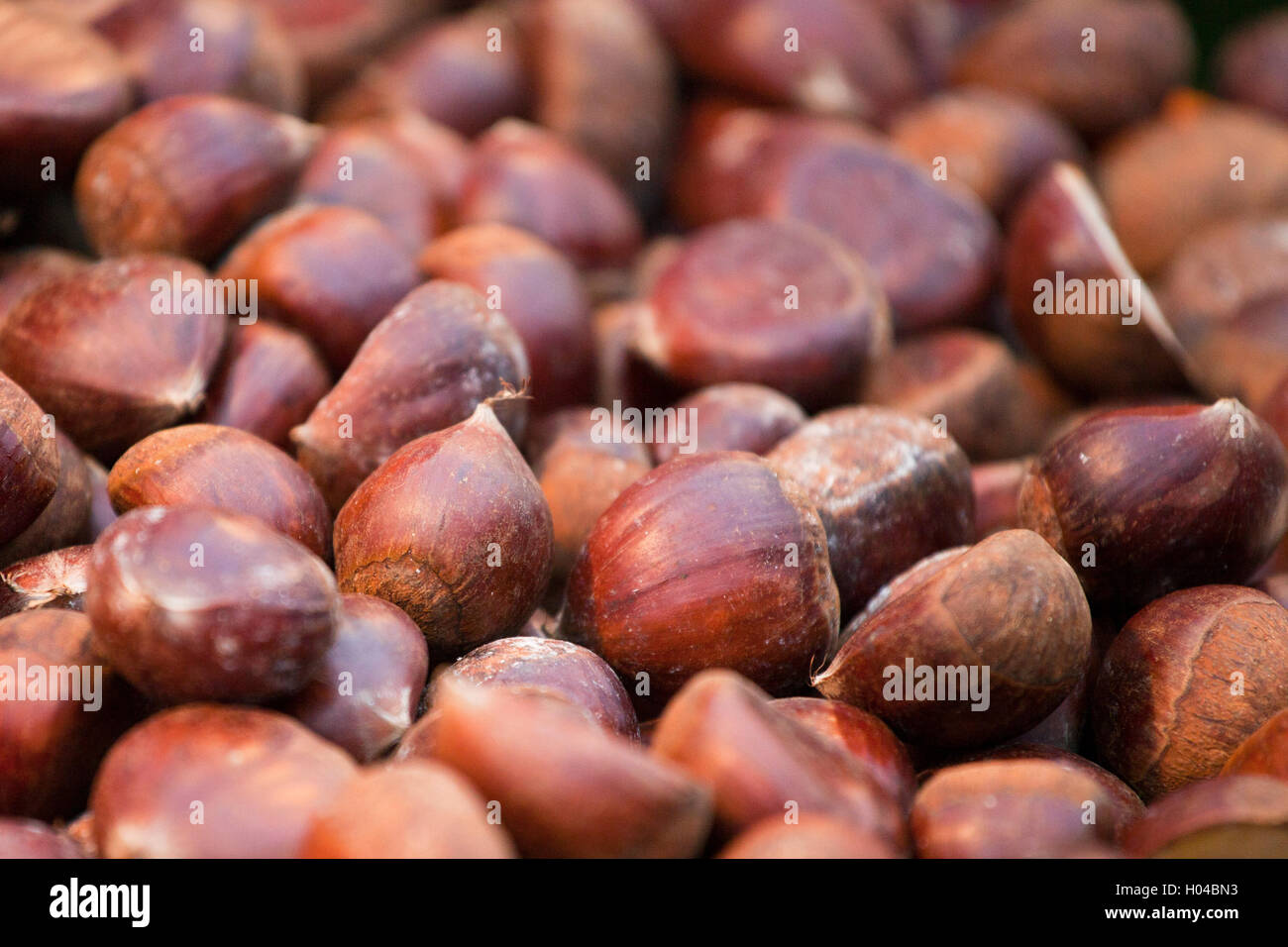 Group of fresh chestnuts on a market Stock Photo - Alamy