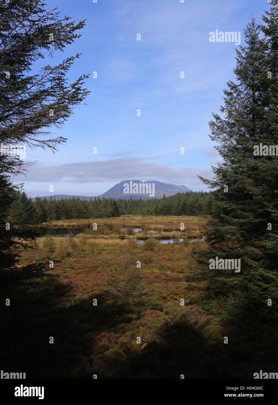 Beinn buidhe hi-res stock photography and images - Alamy