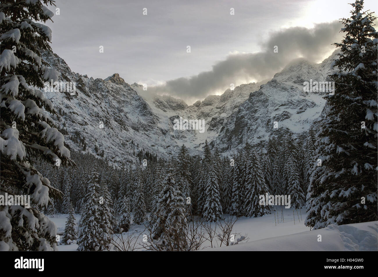 Tatry winter hi-res stock photography and images - Alamy