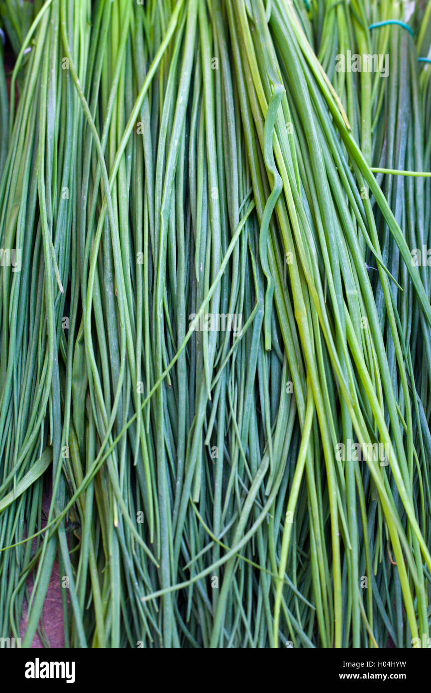 Group of fresh chive on a market Stock Photo - Alamy