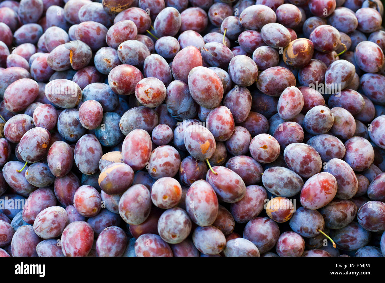 Group of fresh plums on a market Stock Photo - Alamy