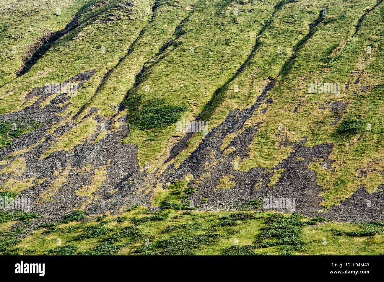 Mountainside slope texture. Scottish borders. Scotland Stock Photo - Alamy