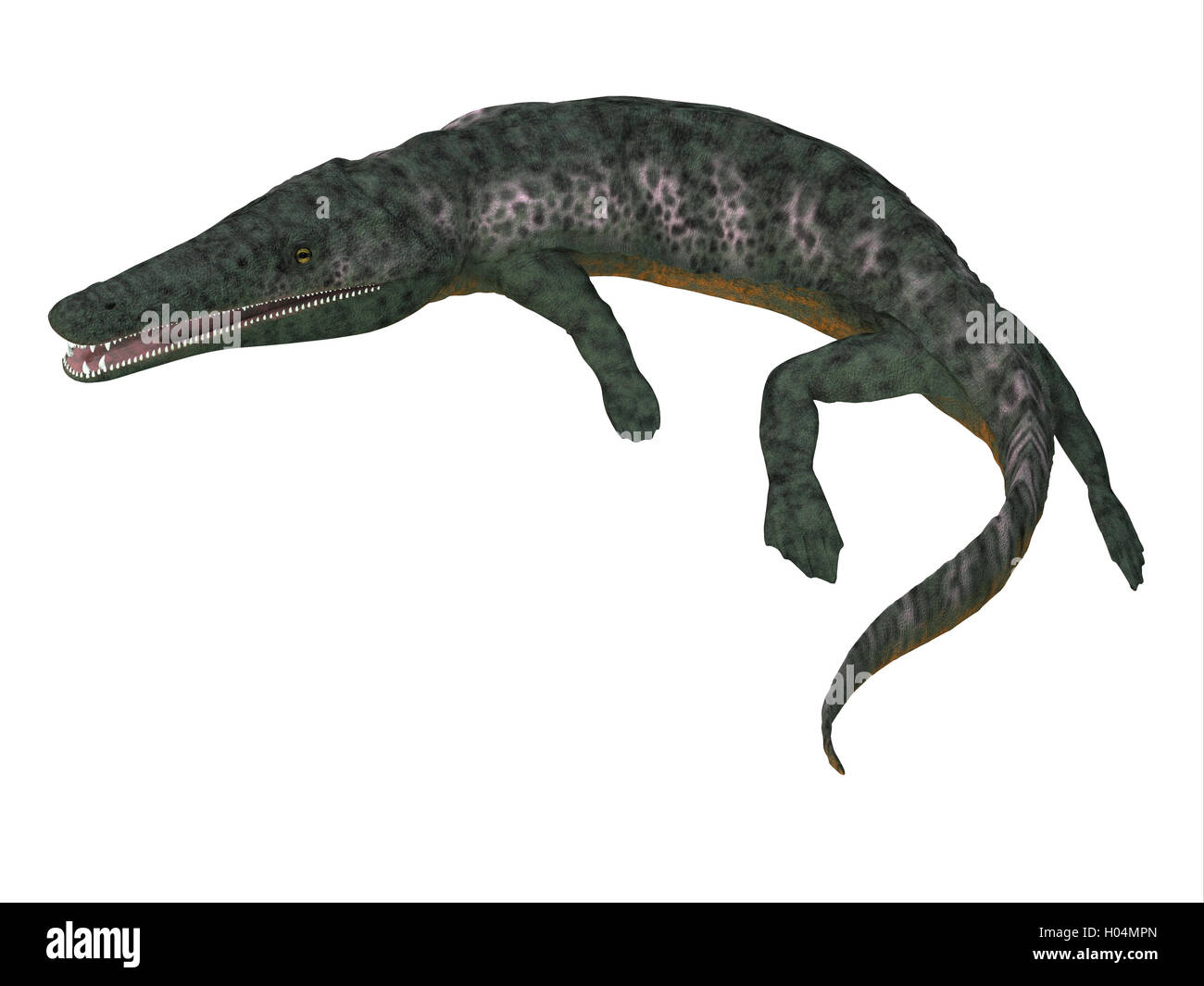 Tetrapod hi-res stock photography and images - Alamy