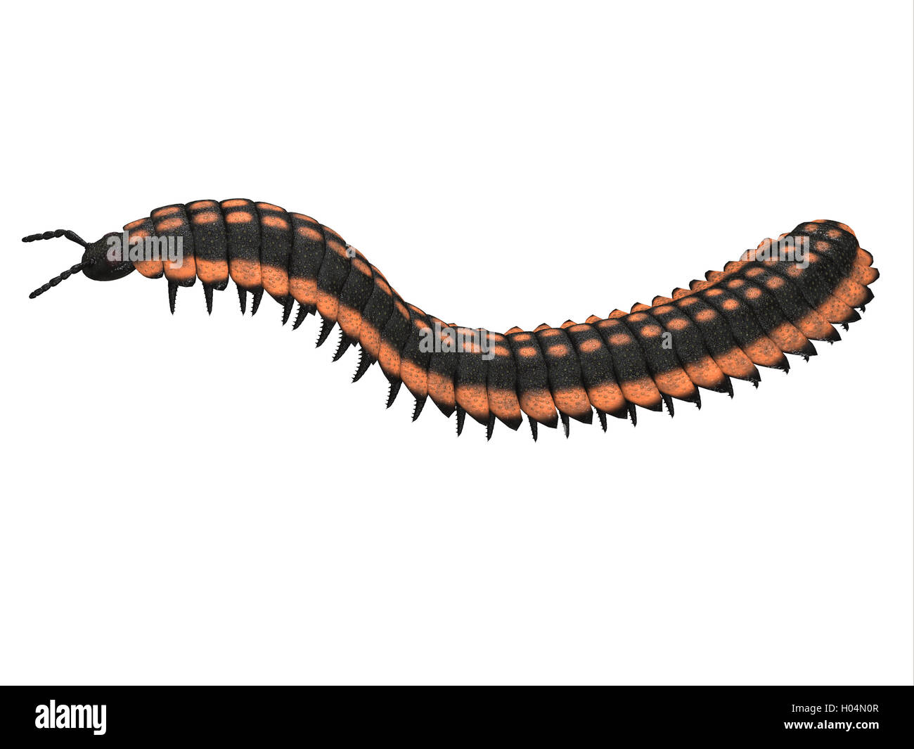 Arthropleura was a giant insect invertebrate that lived in North ...