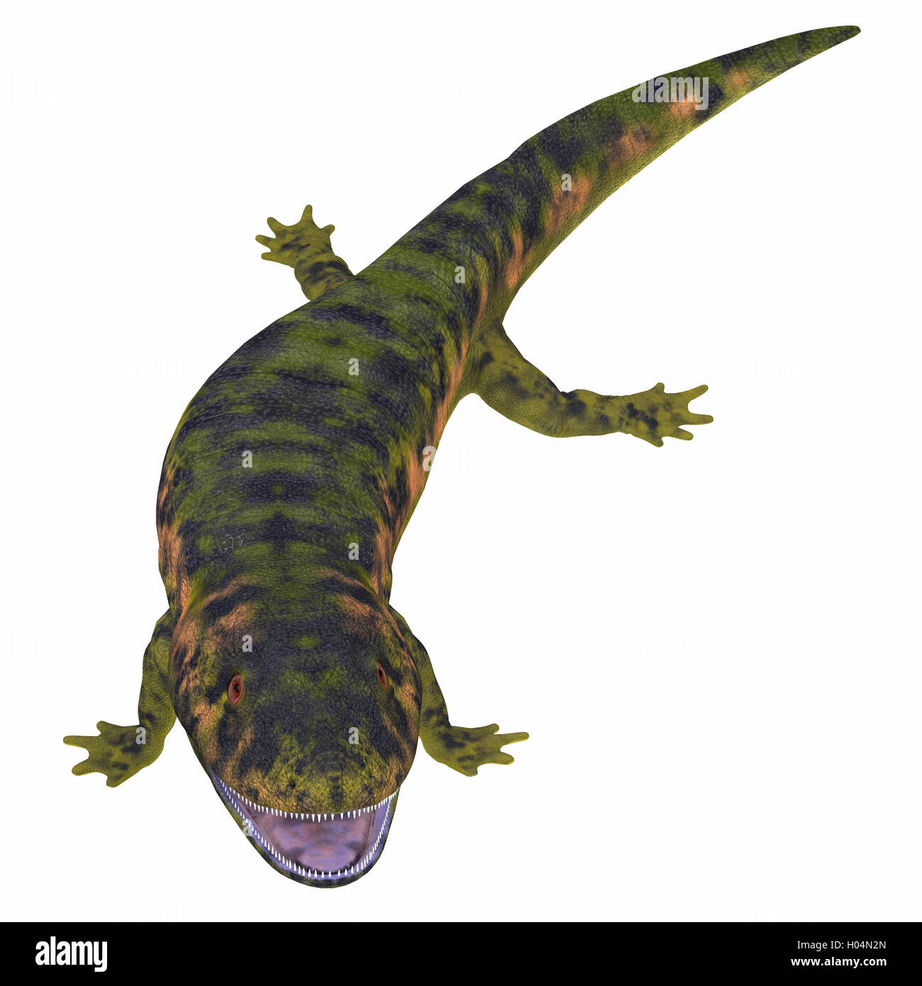 Prehistoric amphibious reptile hi-res stock photography and images - Alamy