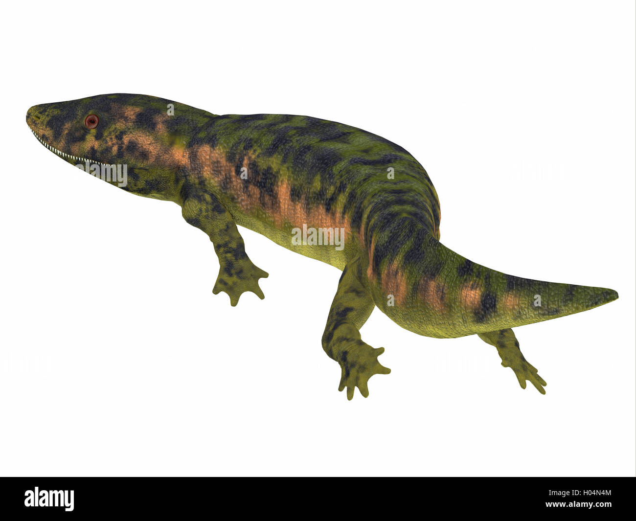 Prehistoric amphibious hi-res stock photography and images - Alamy