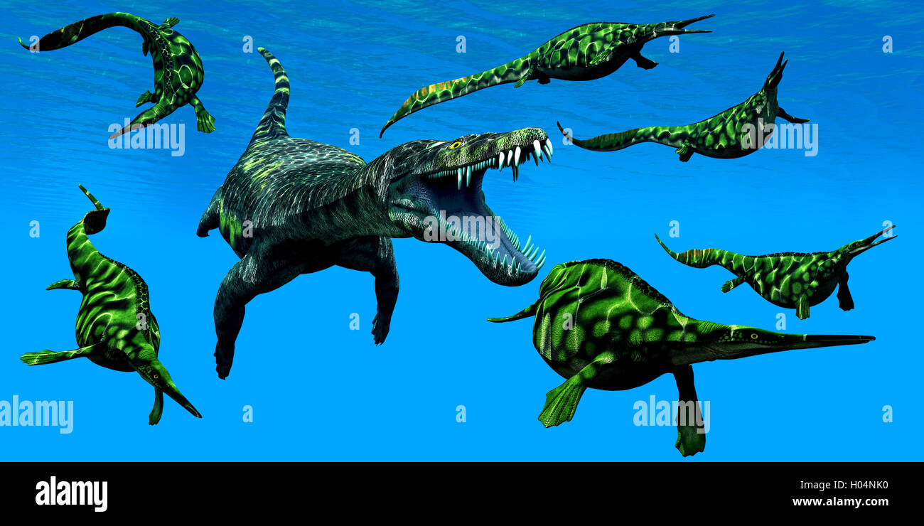 Nothosaurus hi-res stock photography and images - Alamy