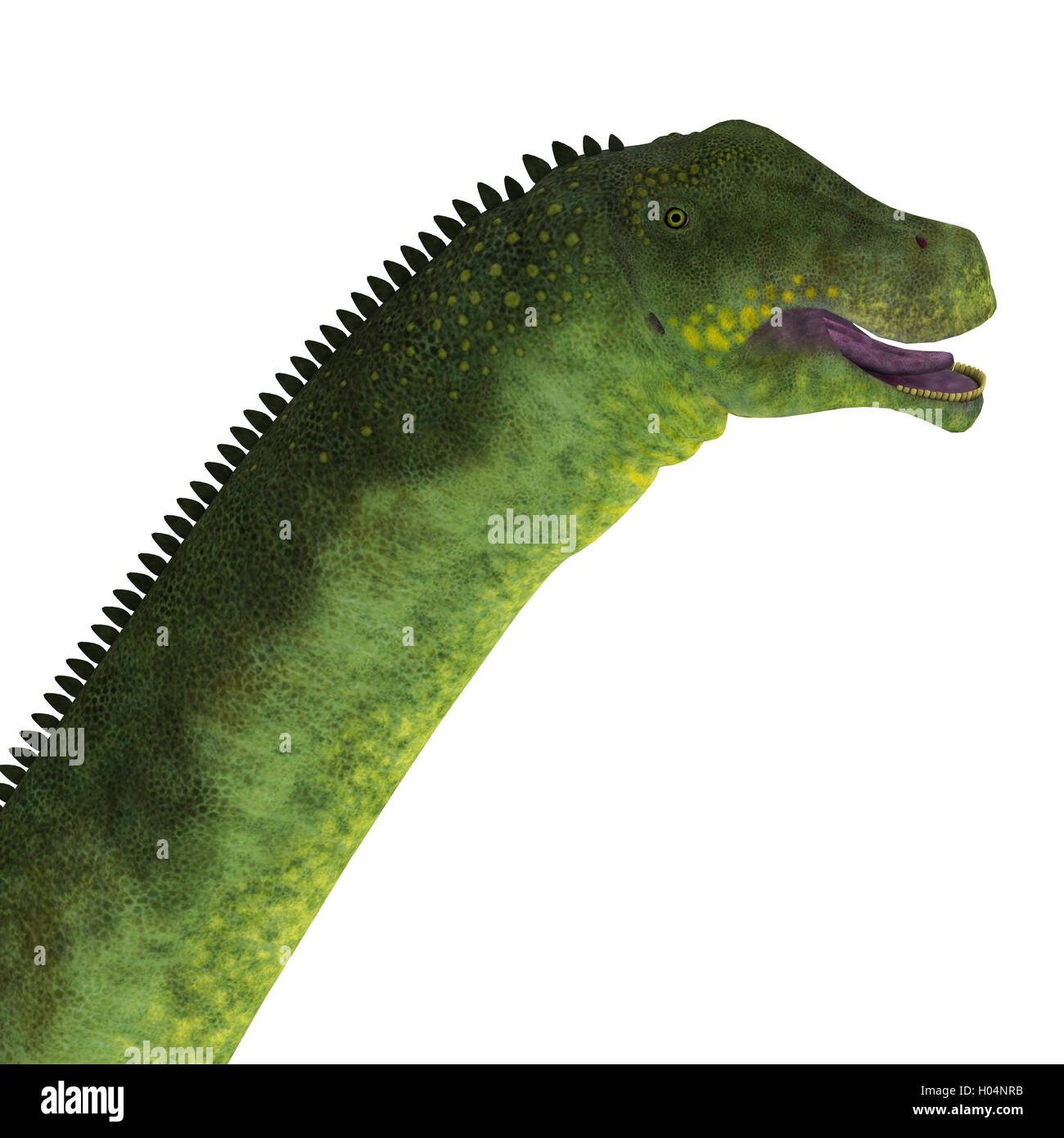 Puertasaurus was a herbivorous sauropod dinosaur that lived in ...