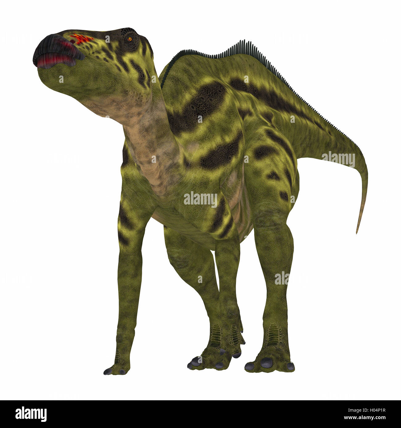 Shantungosaurus giganteus Cut Out Stock Images & Pictures - Alamy